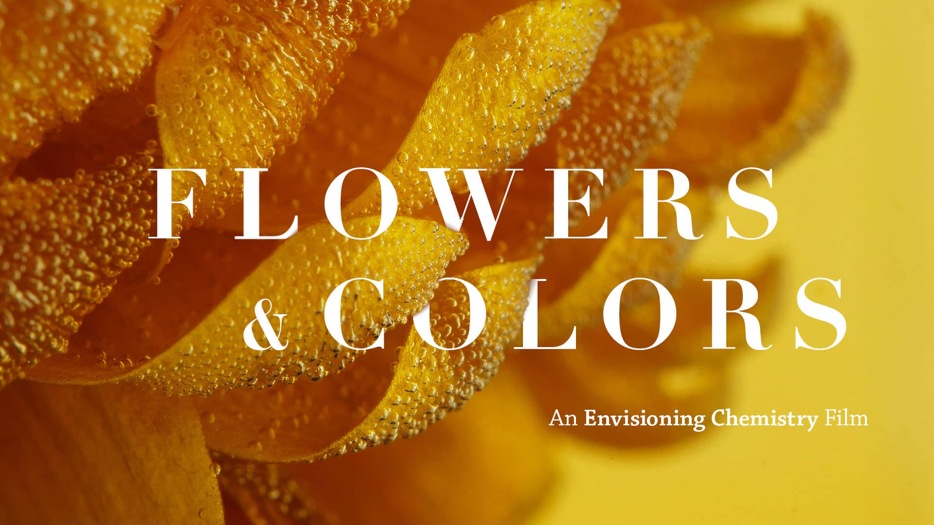 Envisioning Chemistry: Flowers & Colors on Vimeo
