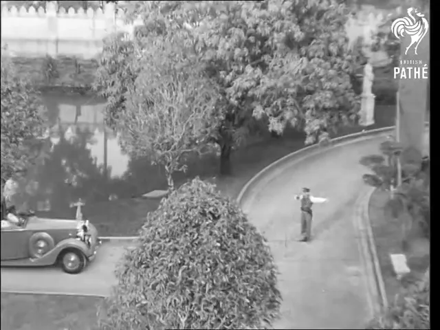 Elephantitis Balls Gif