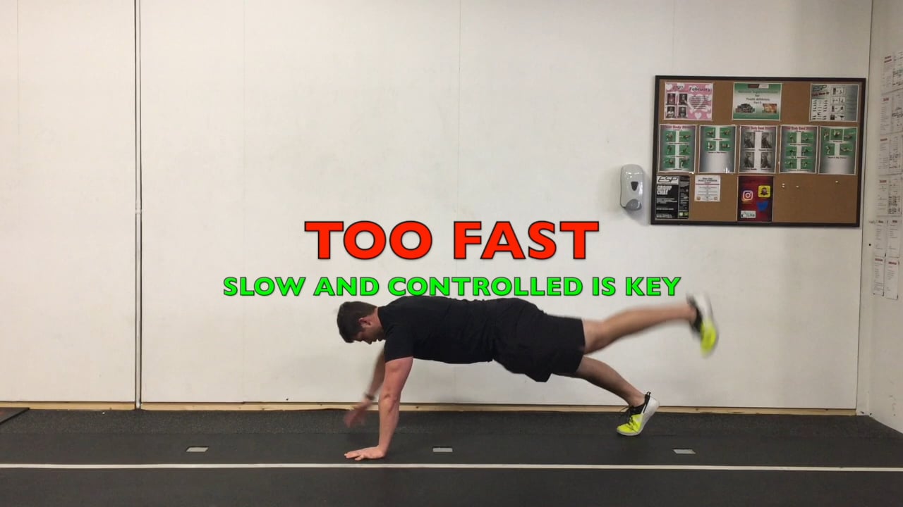 Bird Dog - Push Up Position on Vimeo