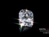 Royal Samples on Vimeo