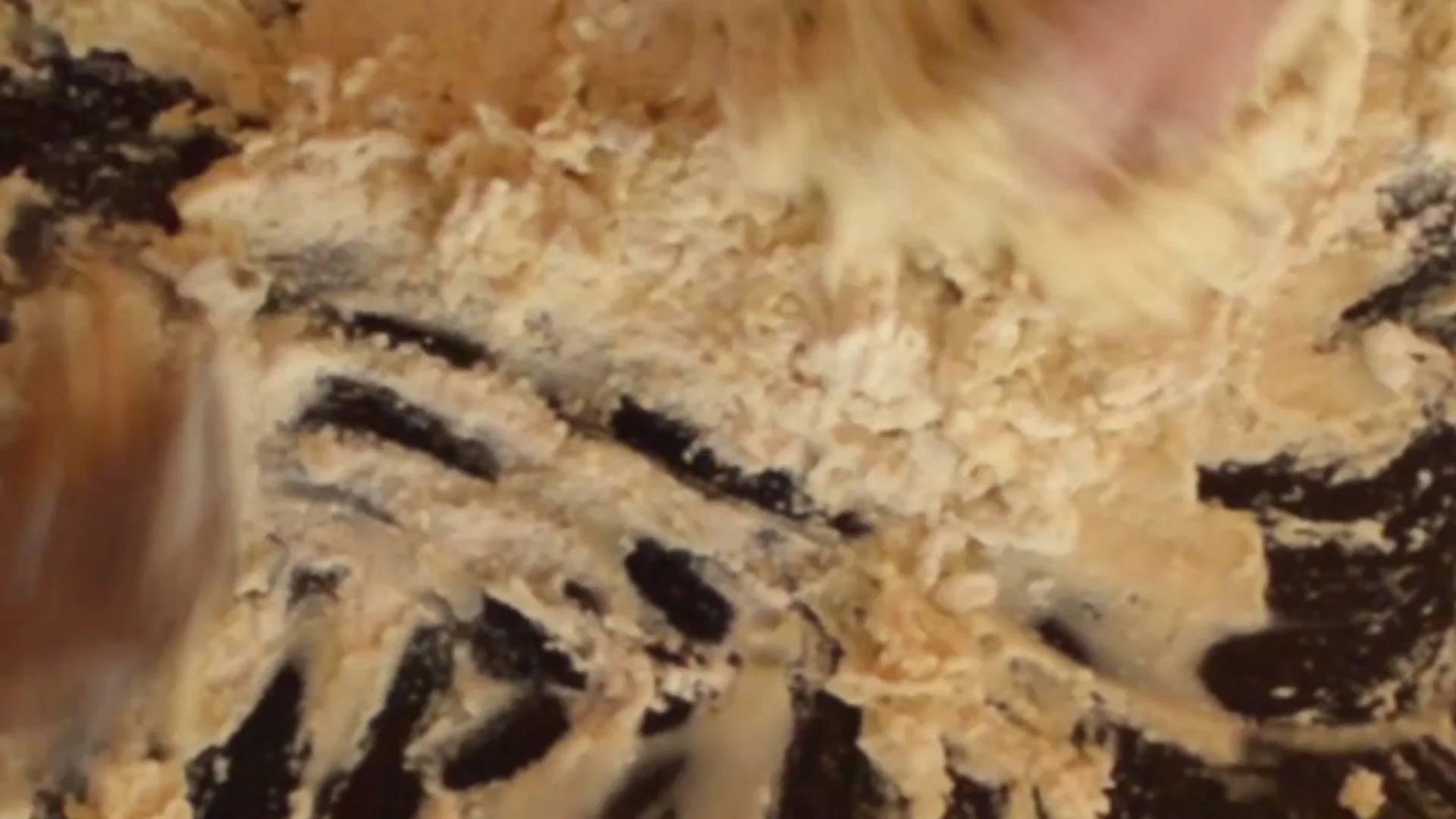 Human Contraption part 2 on Vimeo