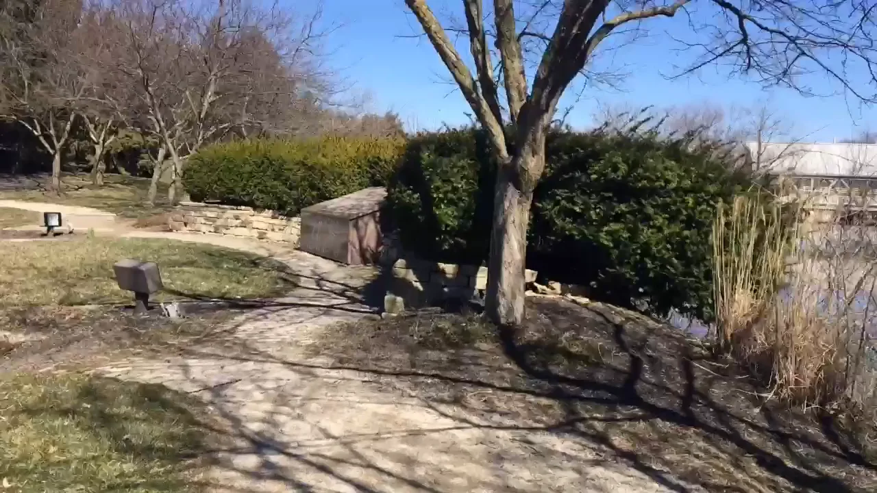 Spring Break 2018 ft. Hannah Lisk on Vimeo