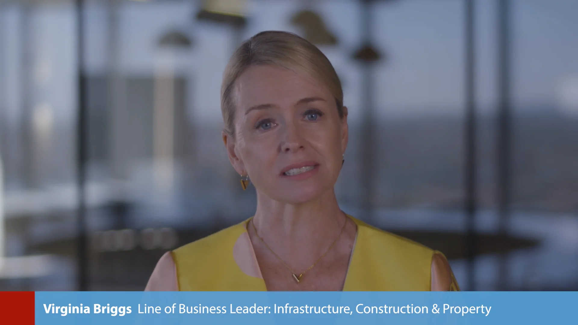 Virginia Briggs Line of Business Lead ICP MS on Vimeo
