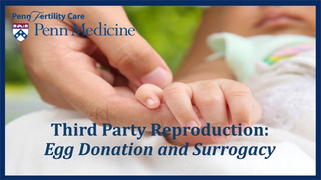 In Vitro Fertilization on Vimeo