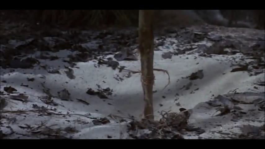 Princess Bride - Quicksand Scene on Vimeo