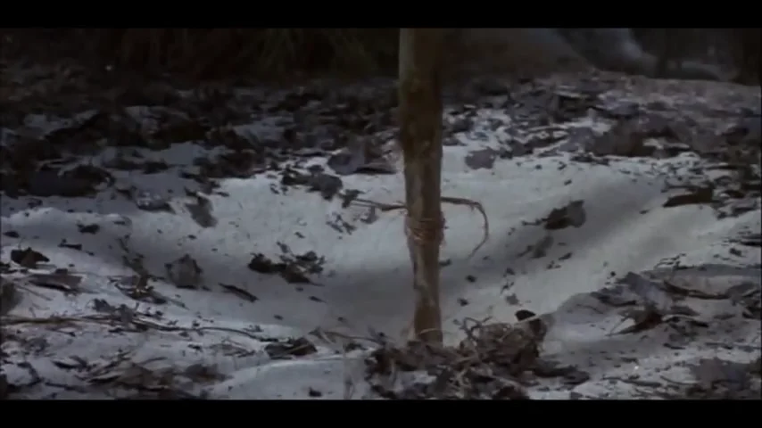 Princess Bride - Quicksand Scene on Vimeo