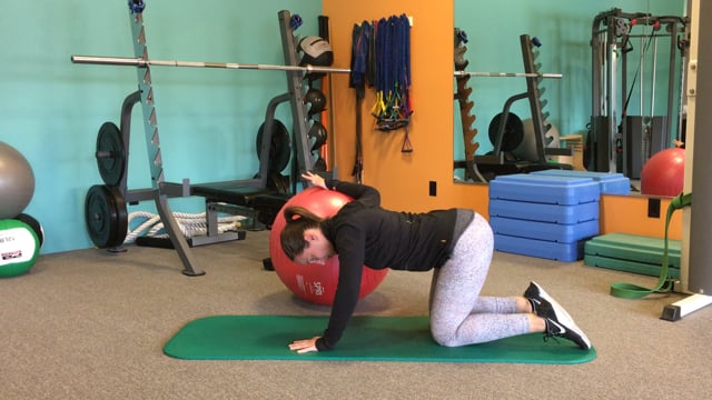 Physical Therapy — pec strain on Vimeo