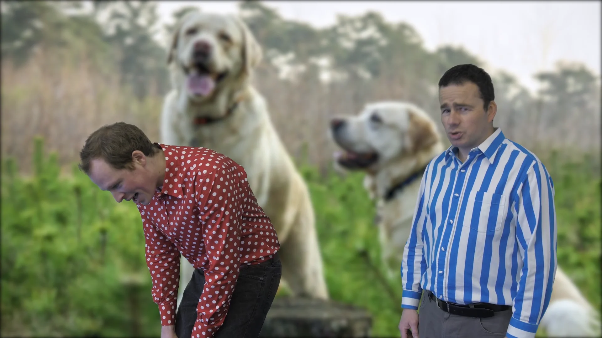 Spot and Stripe - KS2 - Dogs