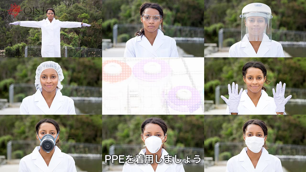 OIST Personal Protective Equipment 2015 (Japanese subs) - OIST個人防護具（PPE ...