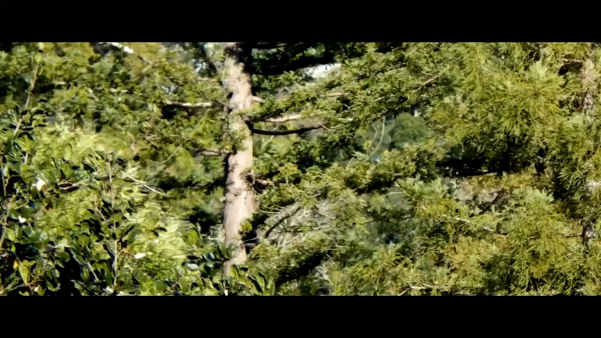 Films - Soul on Vimeo