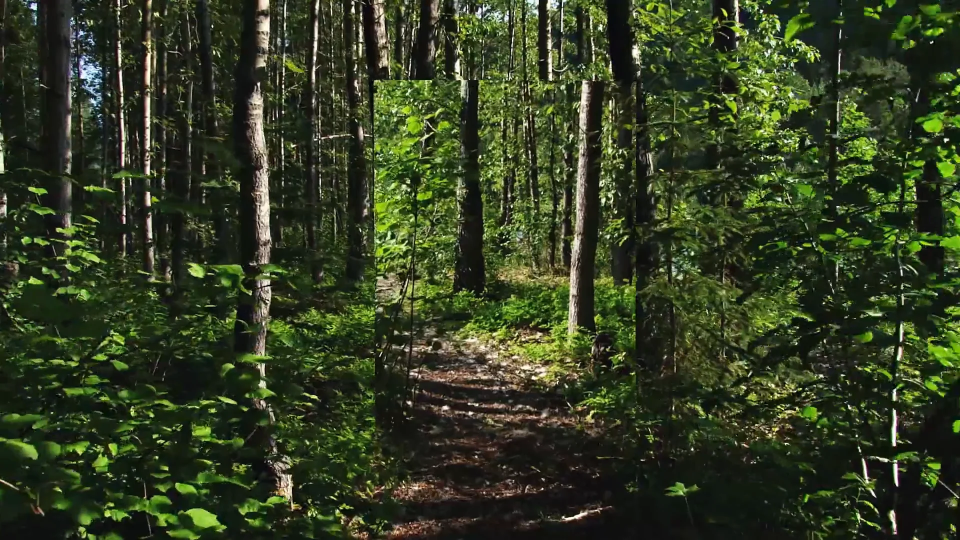 picnic afisha loop on Vimeo