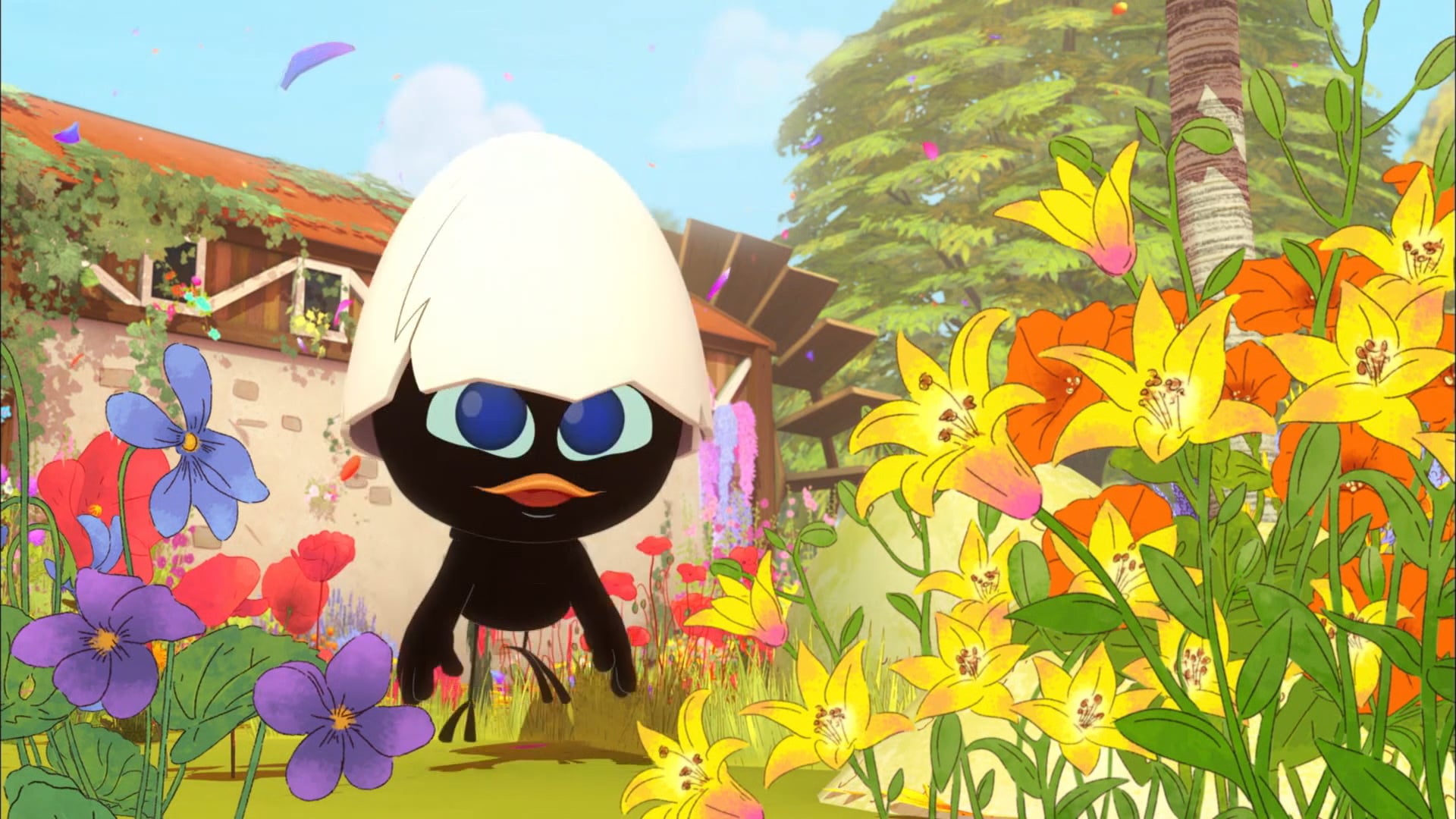 CALIMERO NEXT on Vimeo