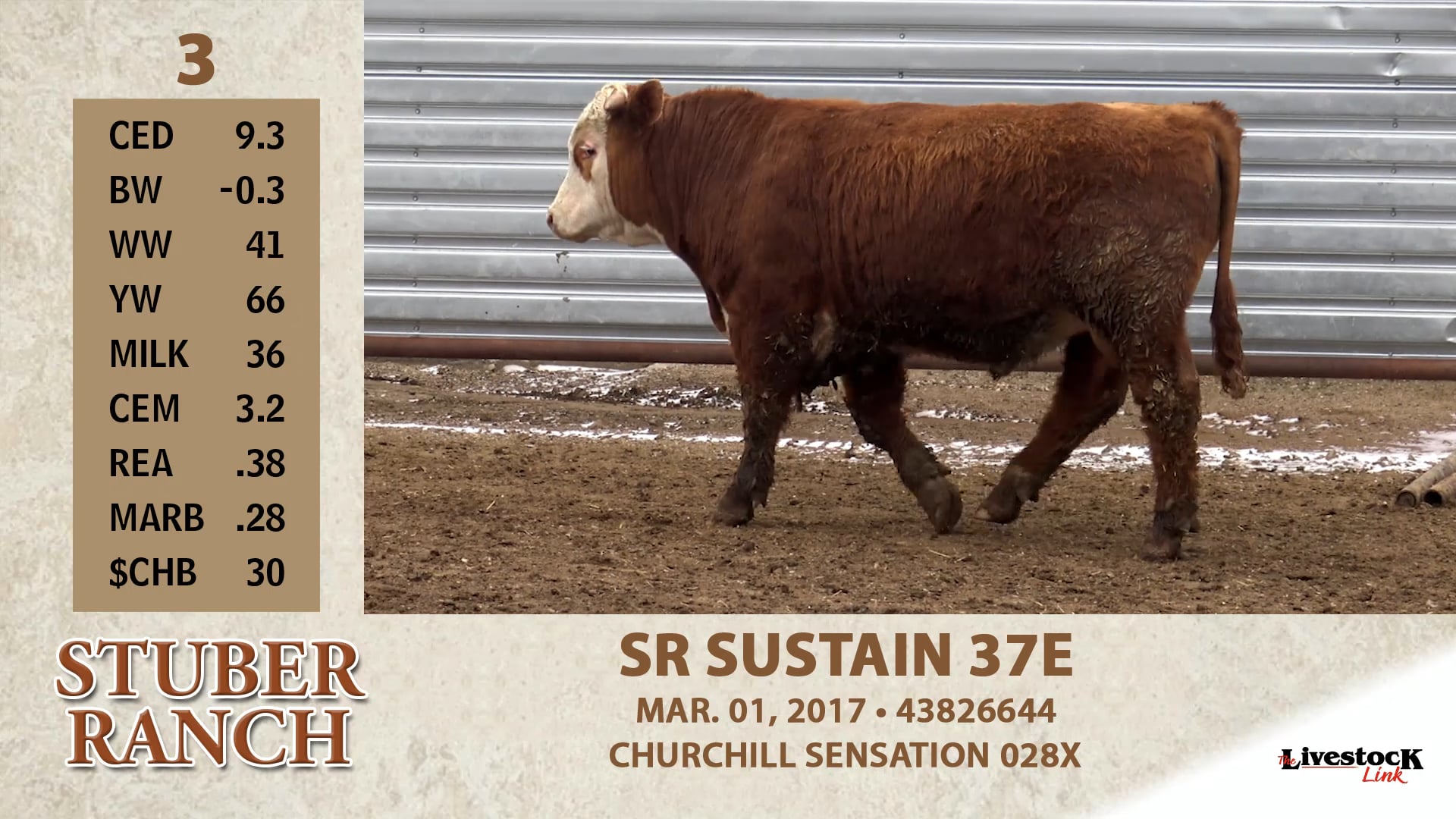 3 - Stuber Ranch on Vimeo