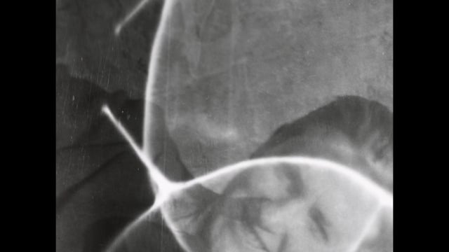 JULIE MURRAY – Visions MTL