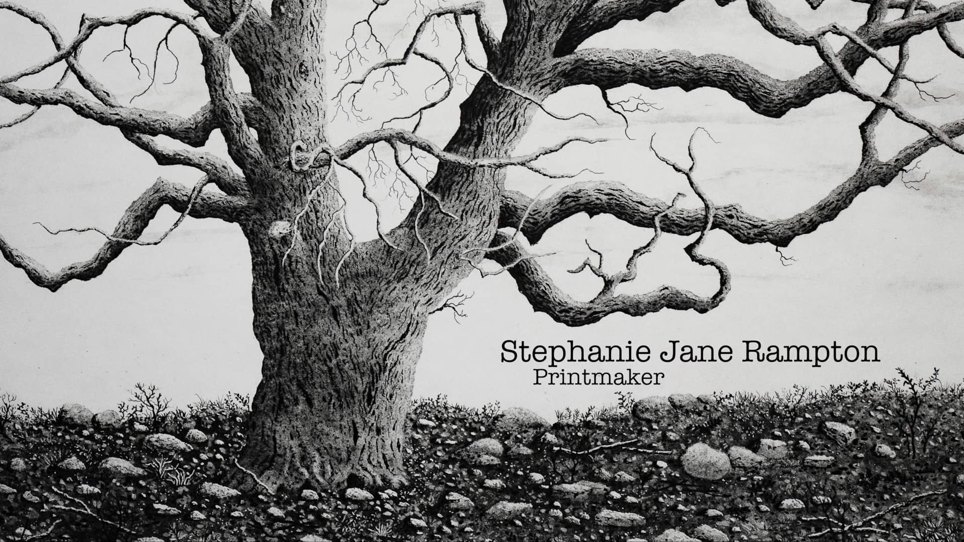 Stephanie Jane Rampton - Printmaker. Women In Art Documentary series ...