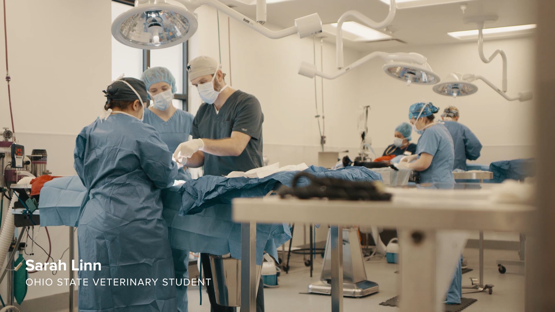 Animal Welfare on Vimeo