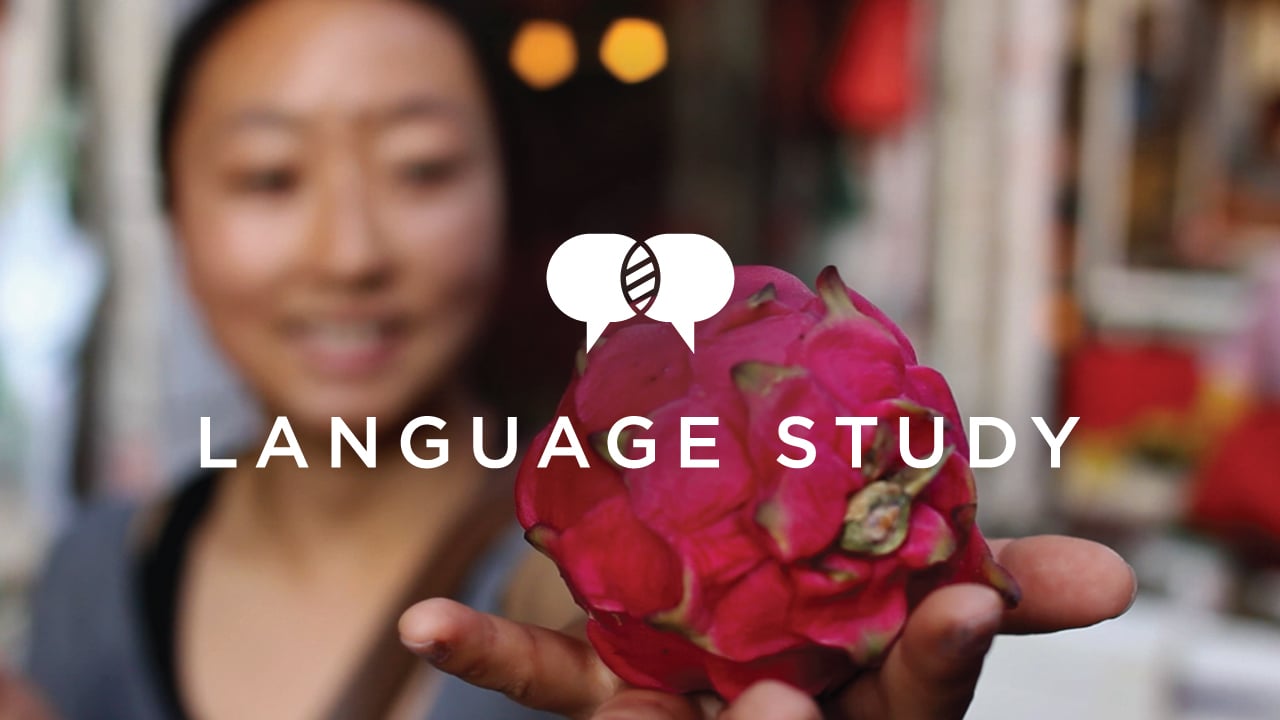 Language Study on Vimeo