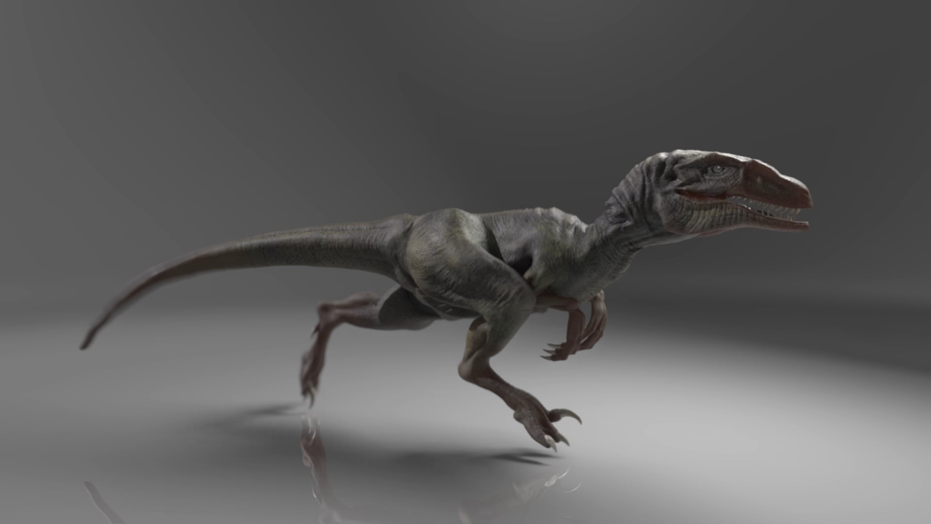 Velociraptor walk cycle on Vimeo