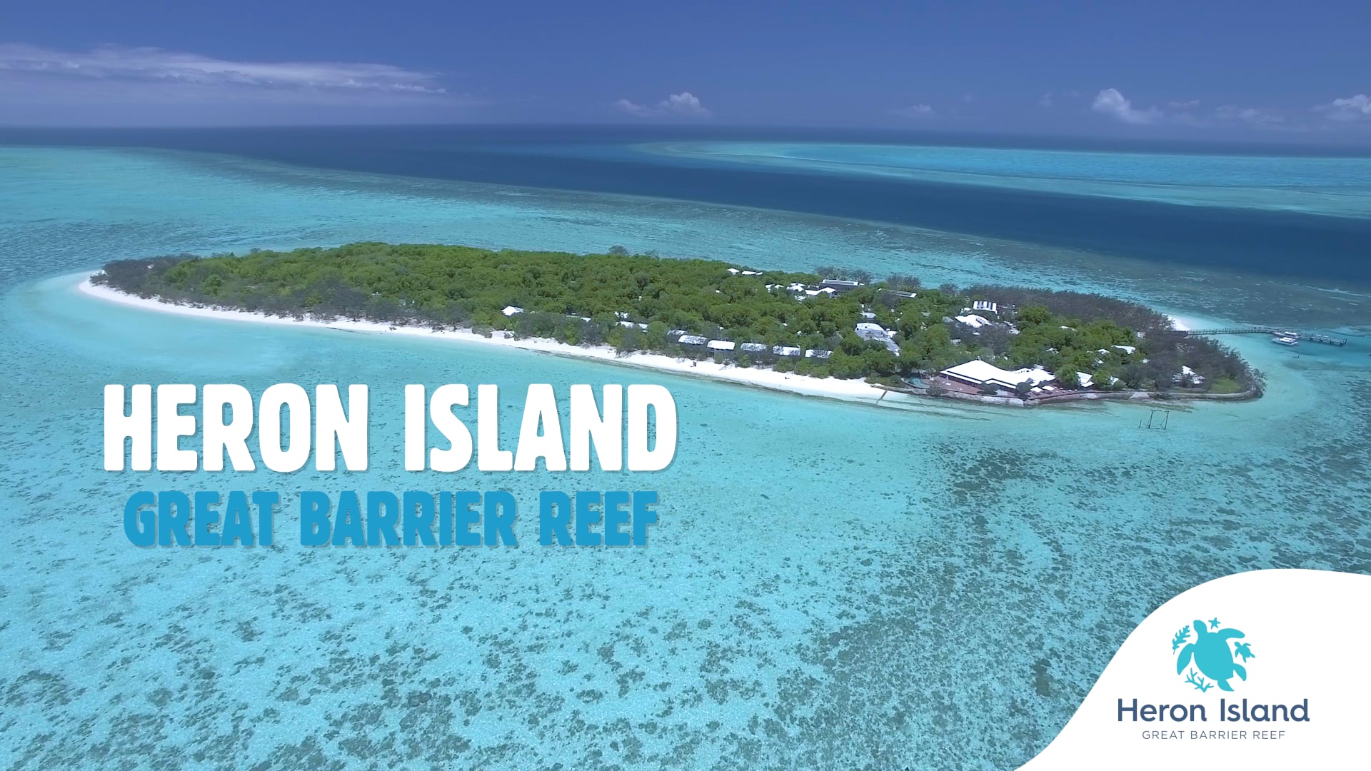 REEF TODAY- APRIL 2018 on Vimeo