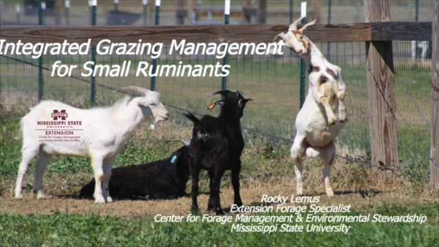 Small Ruminant Veterinary Association