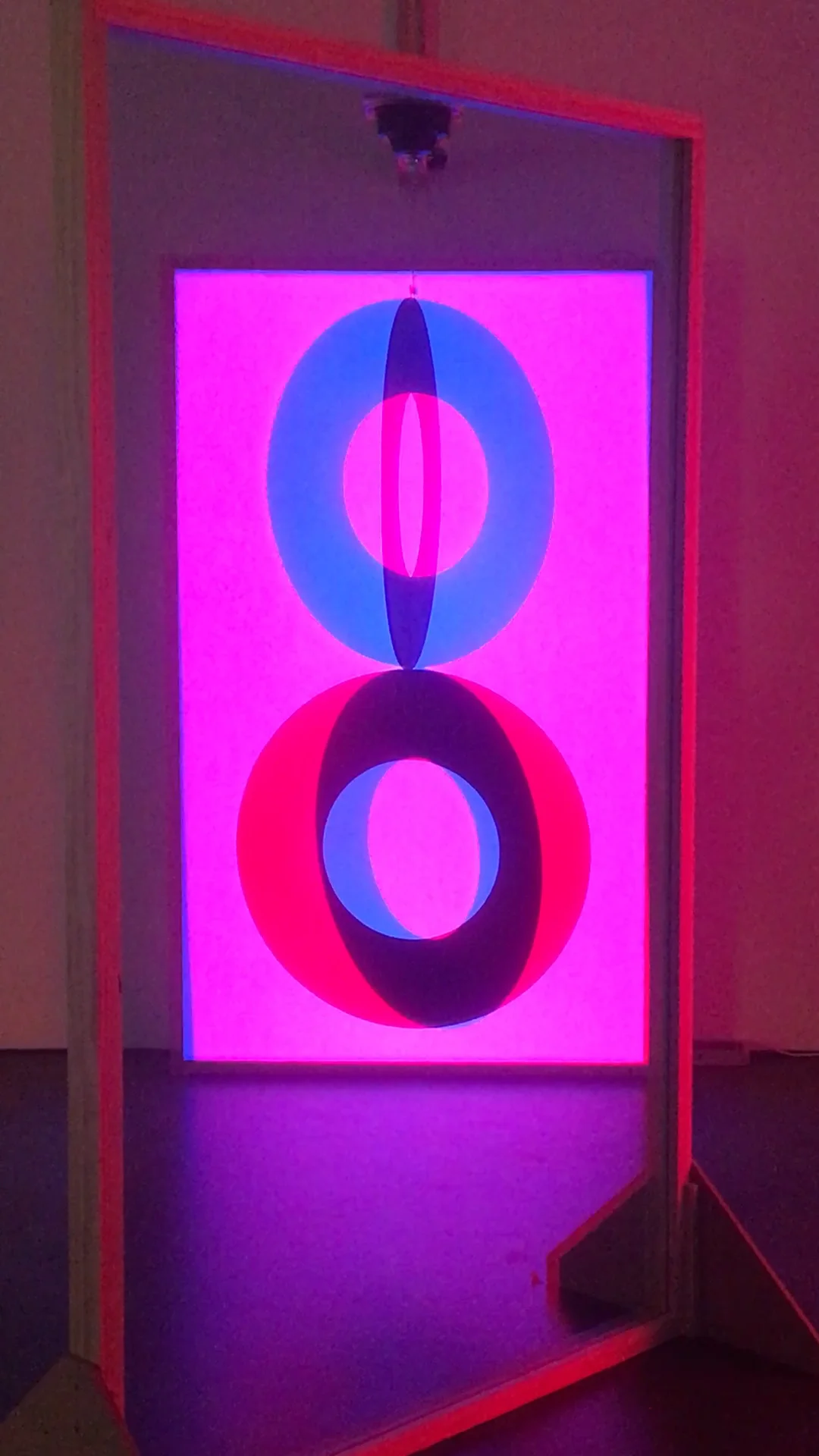 Taree Mackenzie, Pepper’s ghost, circles, blue and red, on Vimeo
