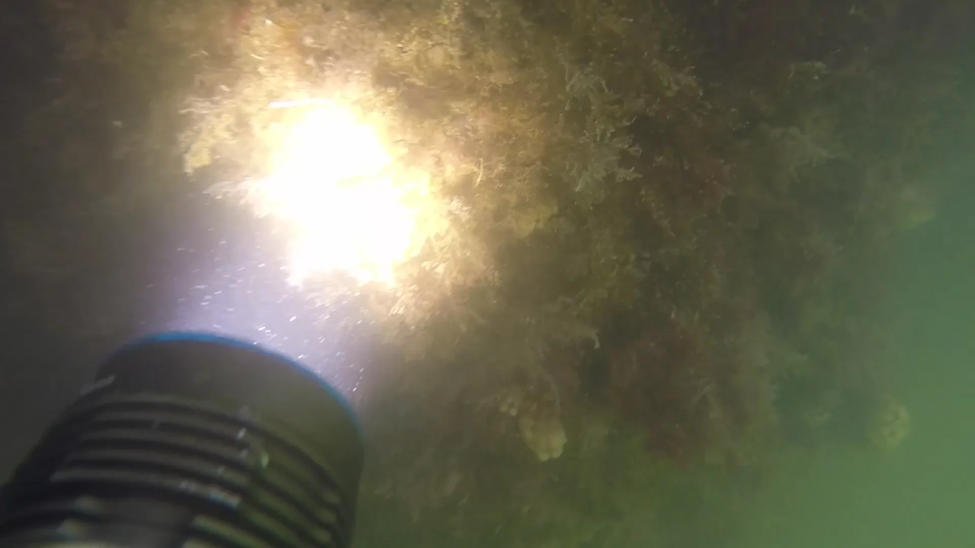 RGV Reef Bulkhead Port of Brownsville,TX.mp4 on Vimeo