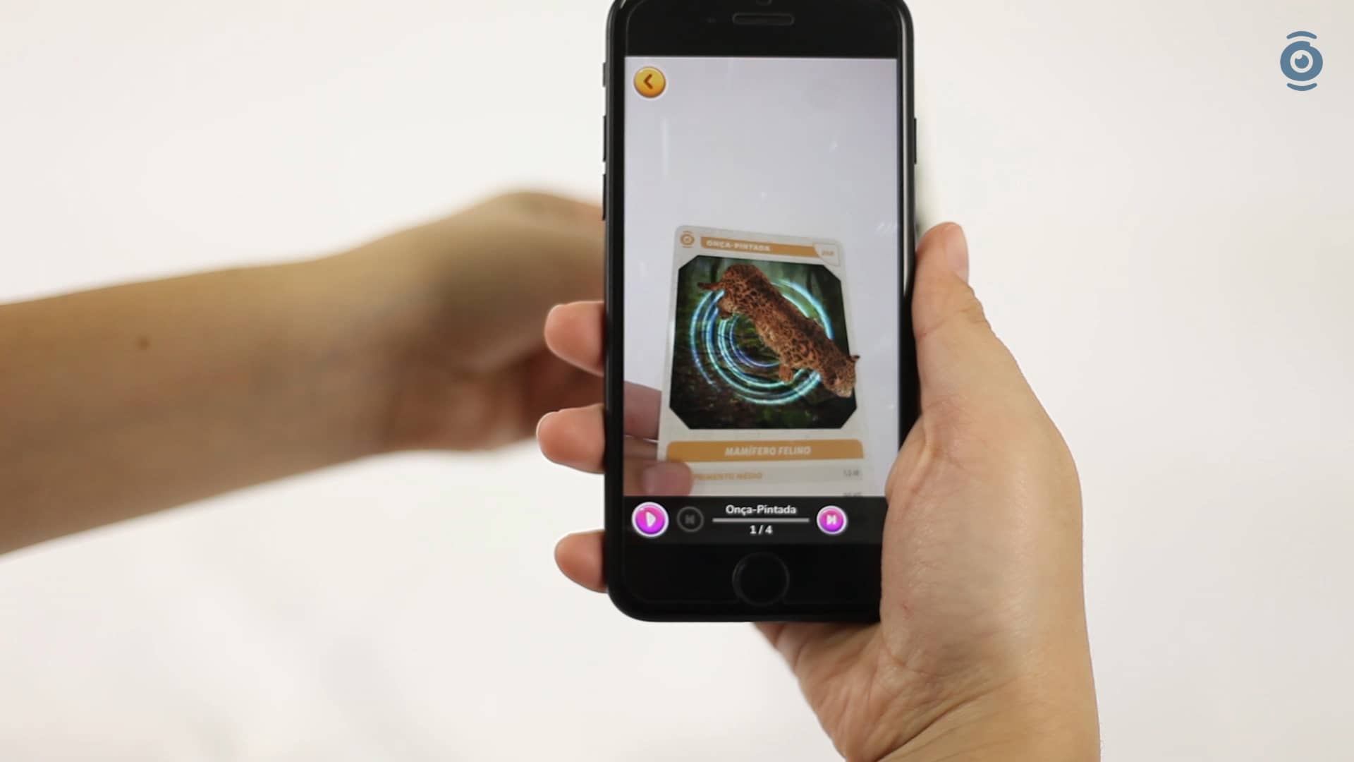 Cards Magicos on Vimeo