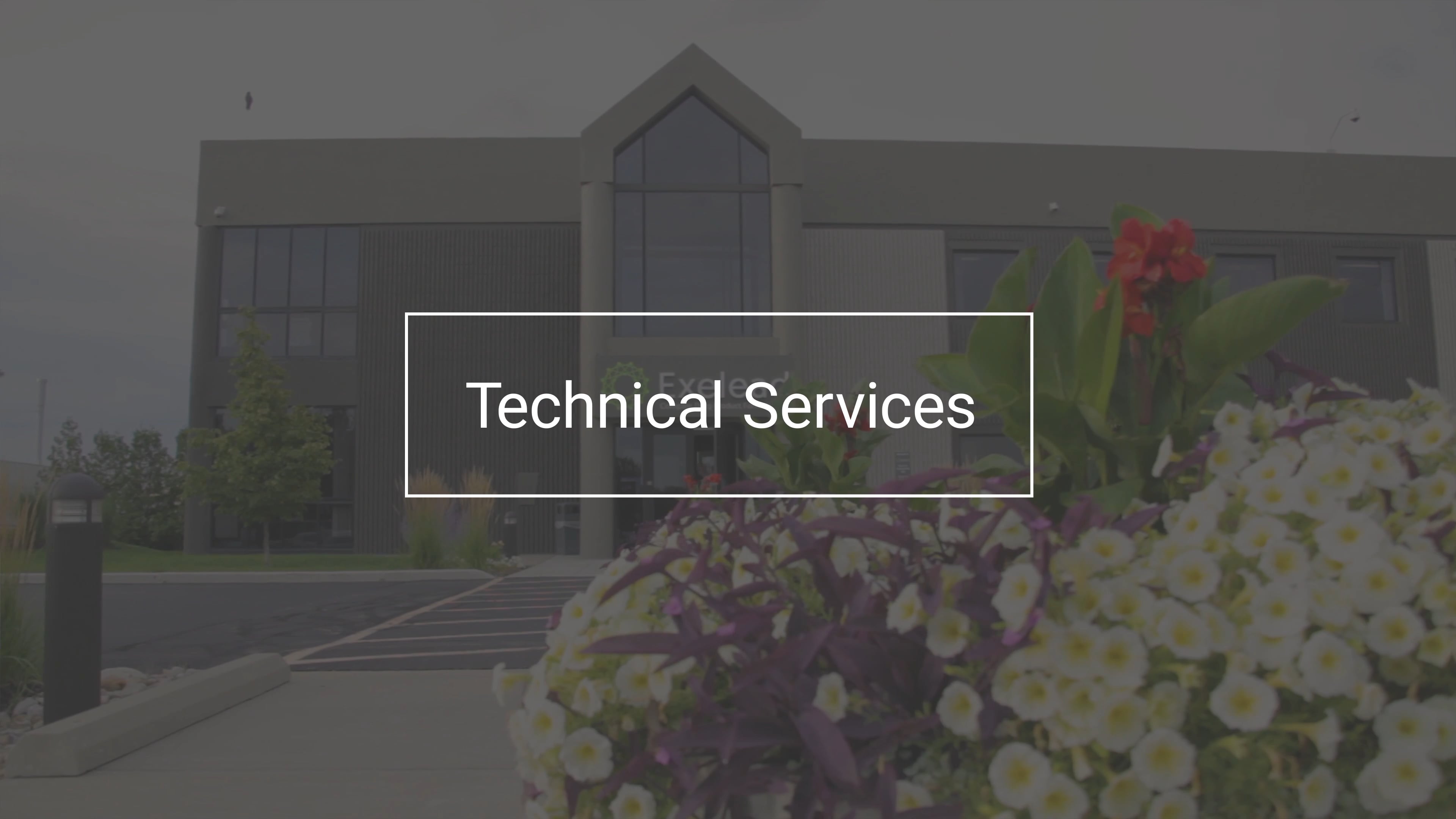 EXELEAD - Technical Services on Vimeo