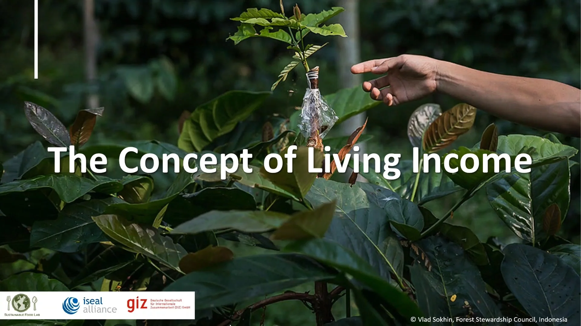 The Concept of Living Income