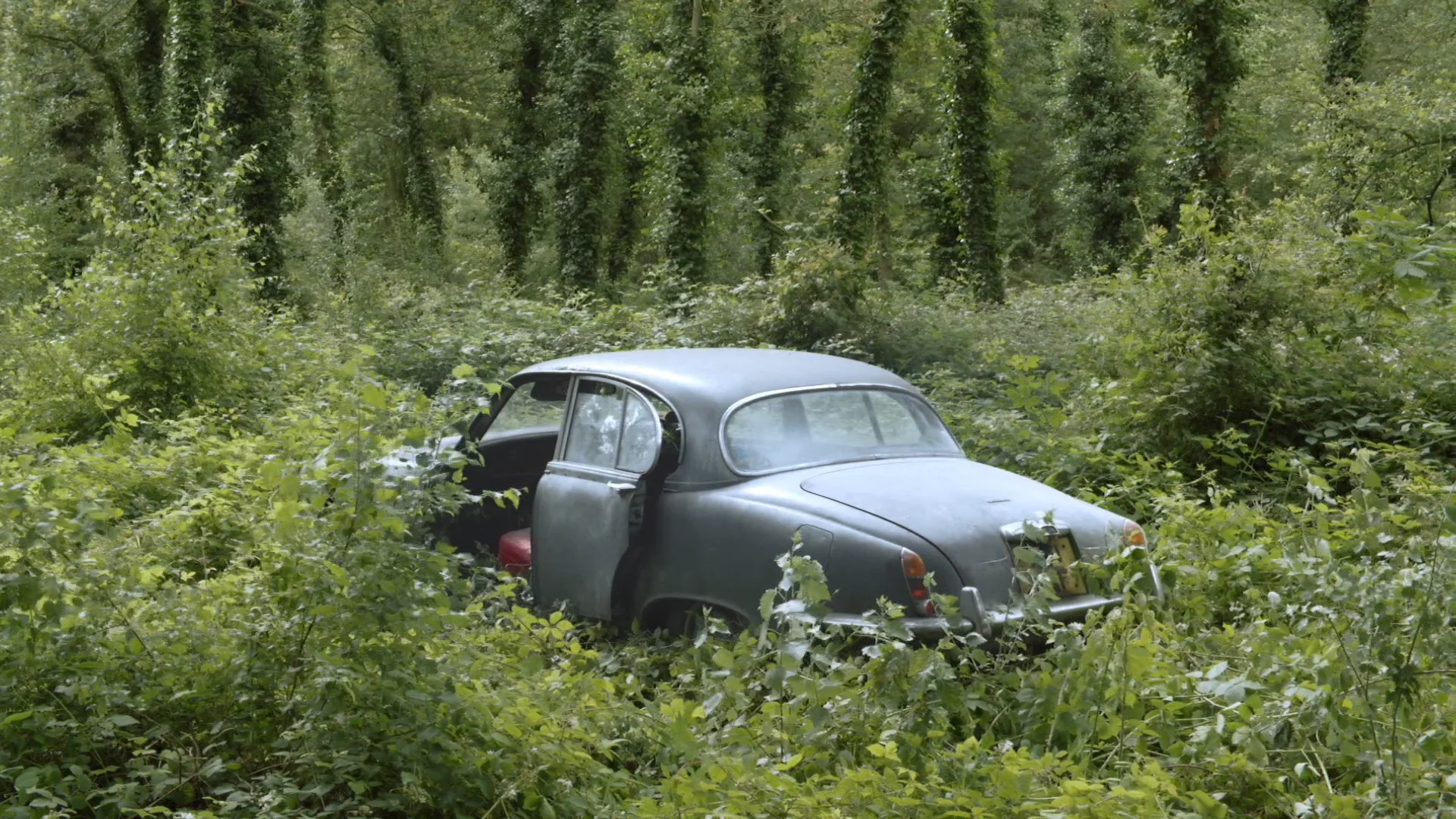 Sony - What is Beauty? / directed by Sam Tootal on Vimeo