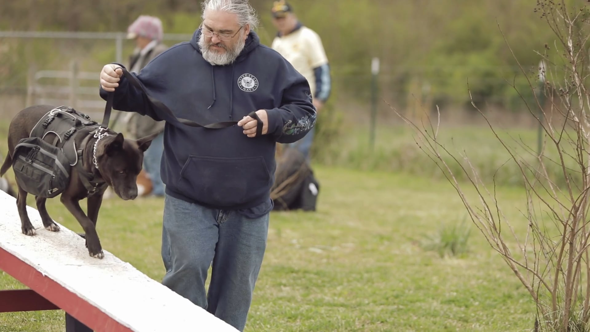 Working Dogs for Vets - Promo 2 - 30 on Vimeo