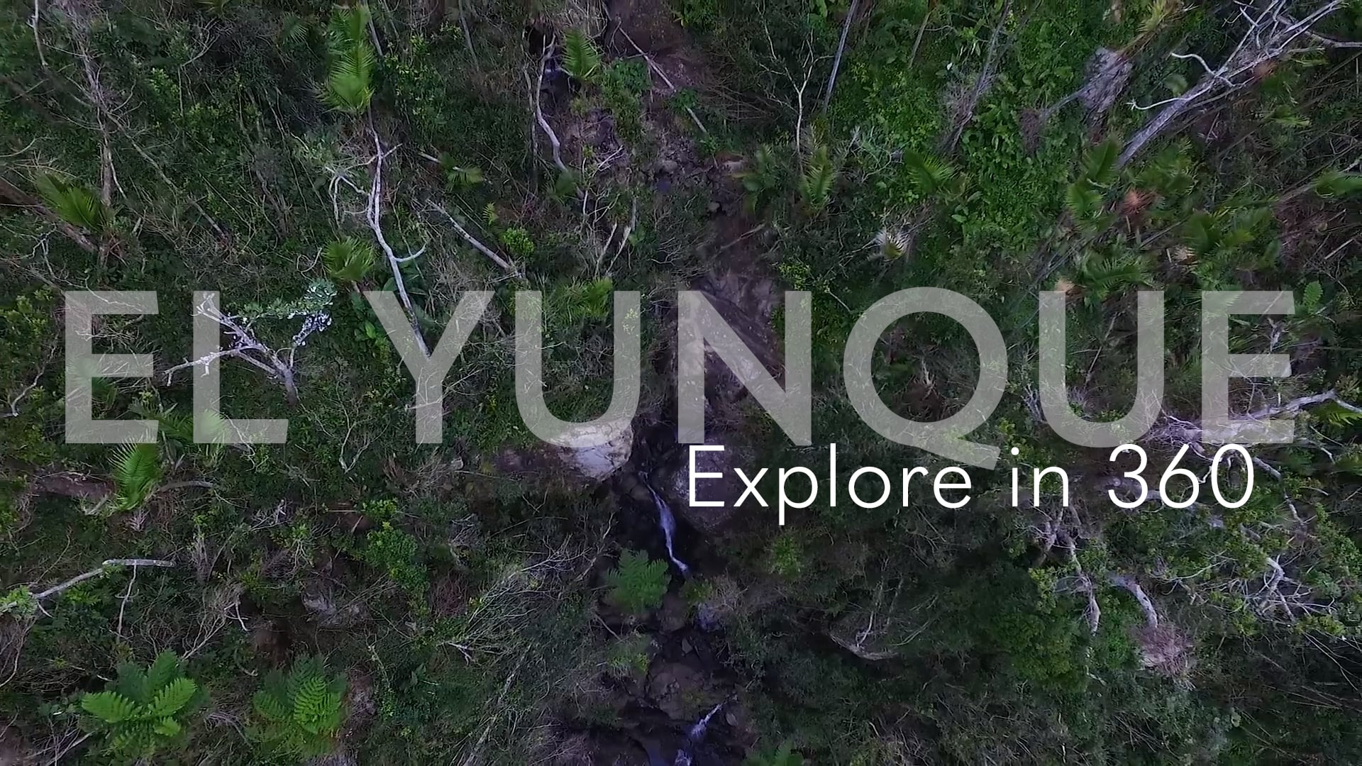 Welcome to El Yunque (1 of 5) on Vimeo