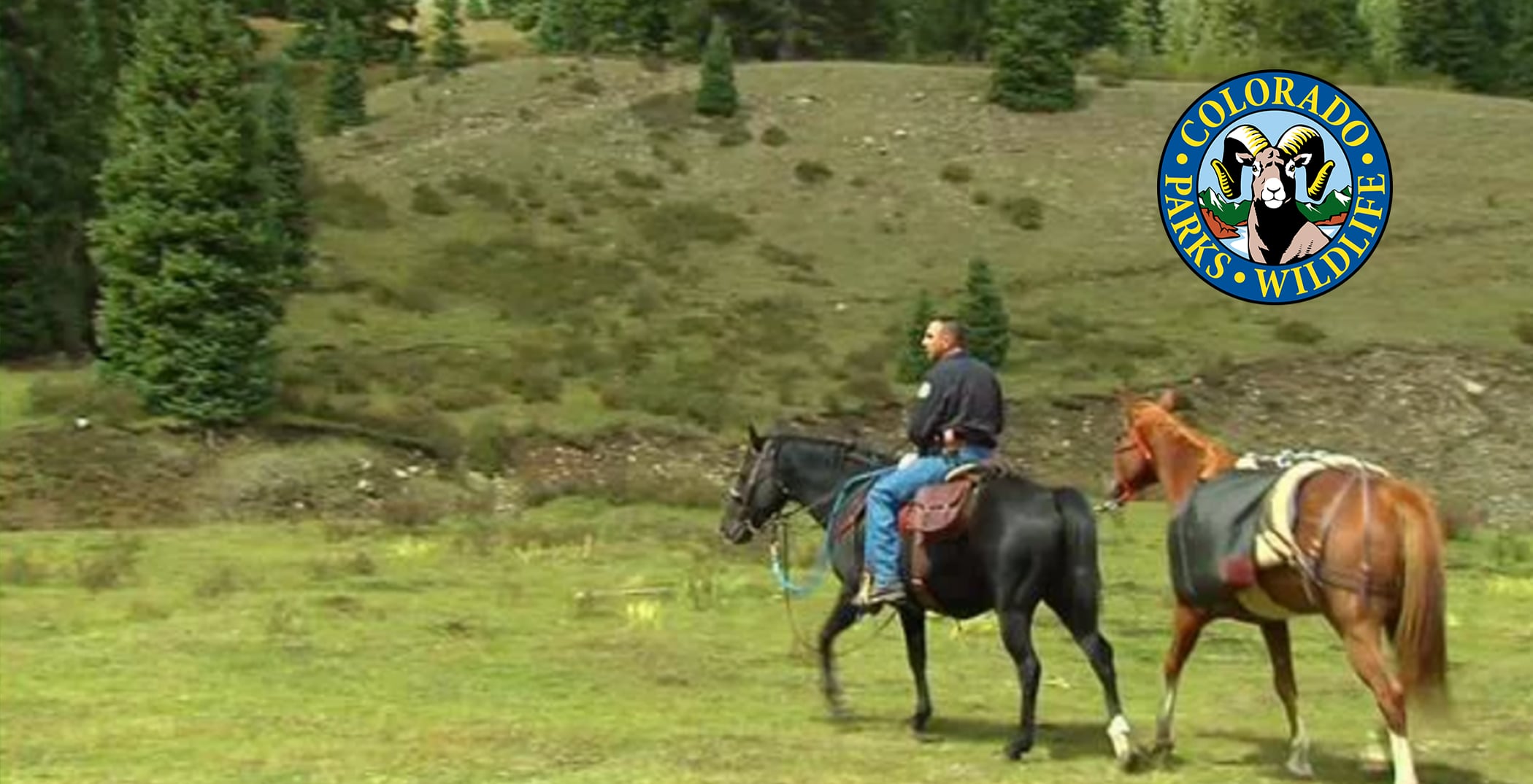 Wildlife Careers on Vimeo