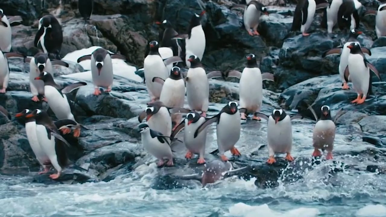 TREND FILM SS19 - Antonia Salt on Vimeo