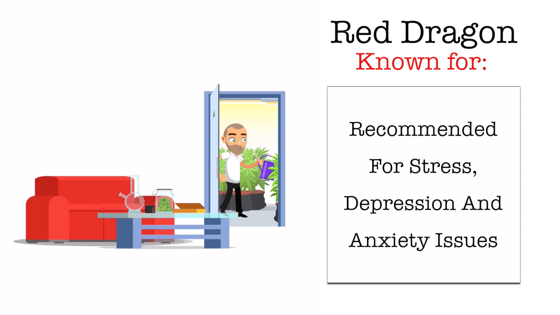 Red Dragon Strain Review on Vimeo