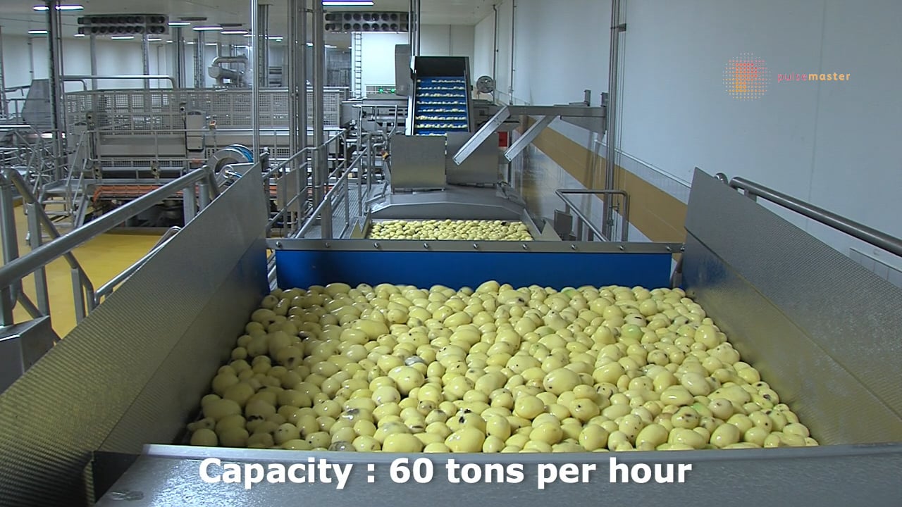 Pulsemaster Pulsed Electric Field PEF systems – the potential in potato ...