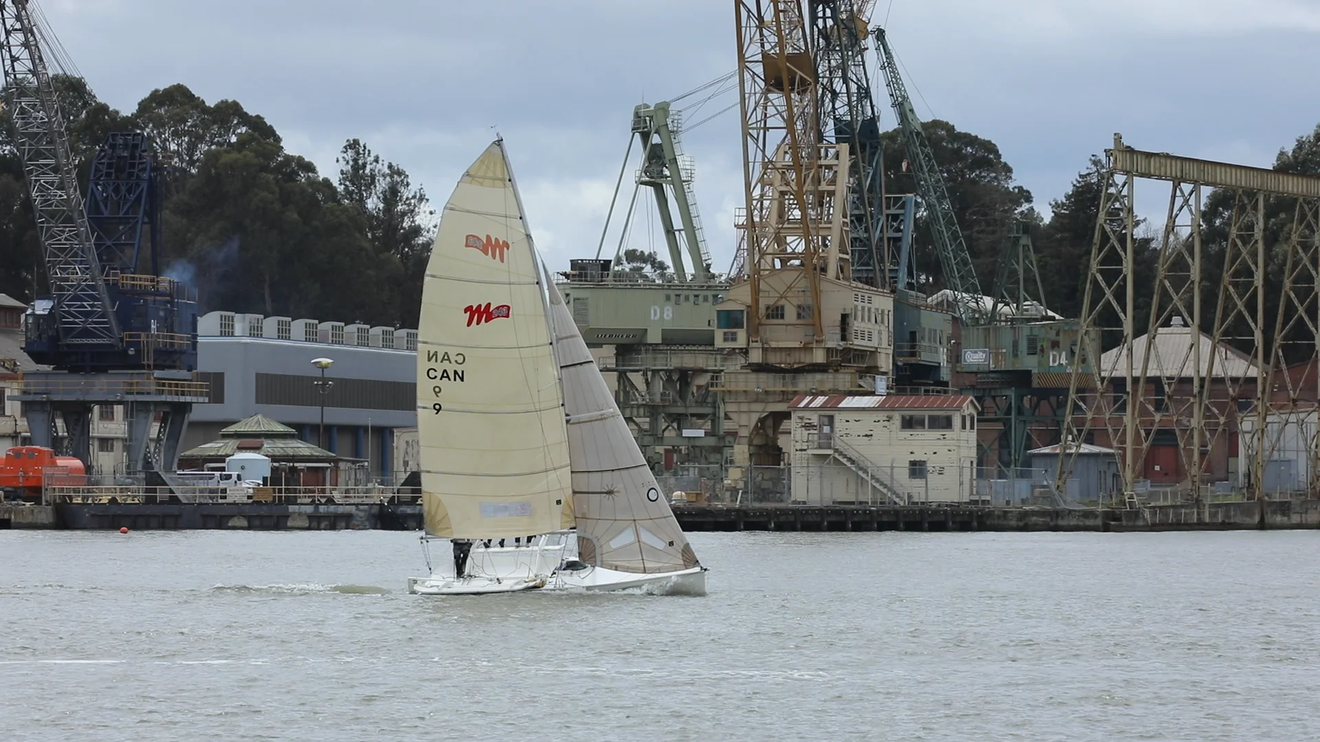 Martin 243 IMG_1709 on Vimeo