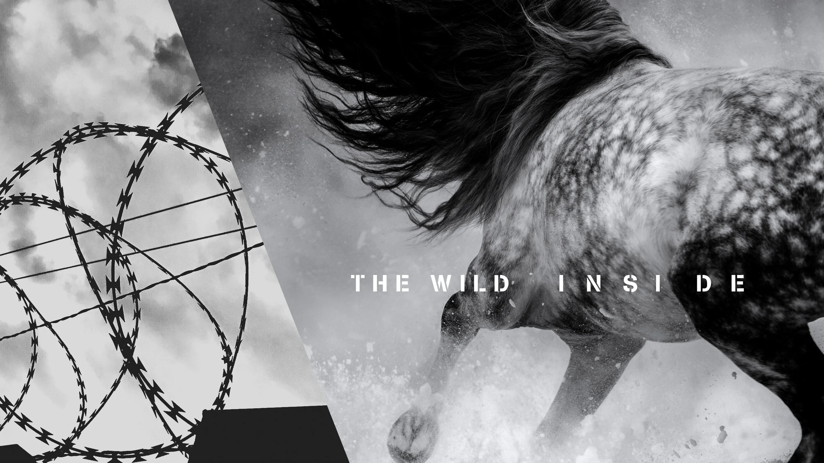 The Wild Inside on Vimeo