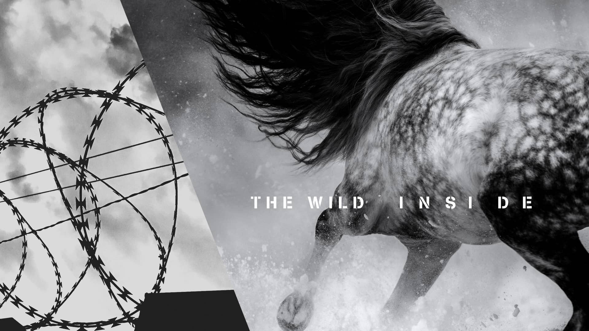 The Wild Inside on Vimeo