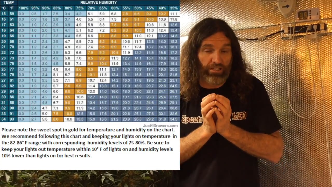 Spectrum King LED Grow Lights | Growers tips - VPD Chart explained ...