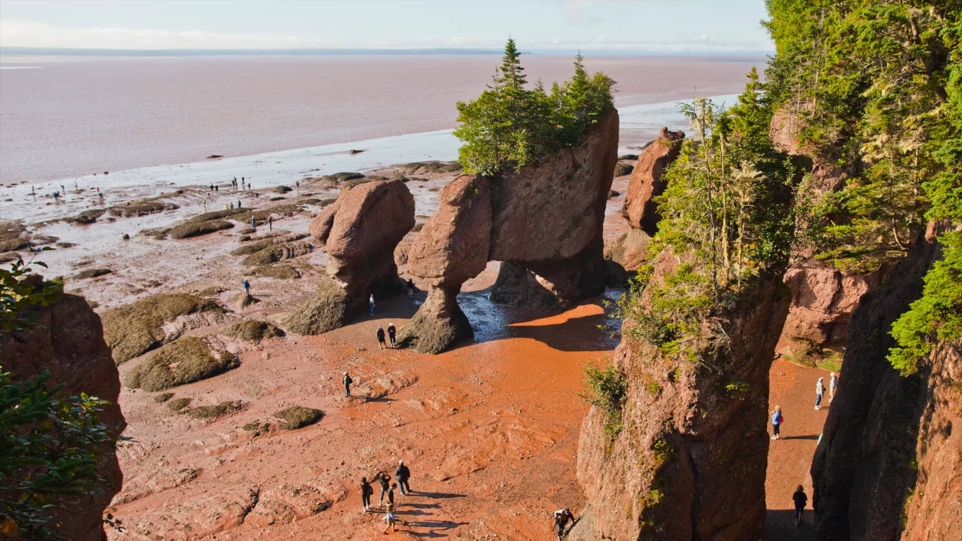 Official Hopewell Rocks Tide Time Lapse on Vimeo