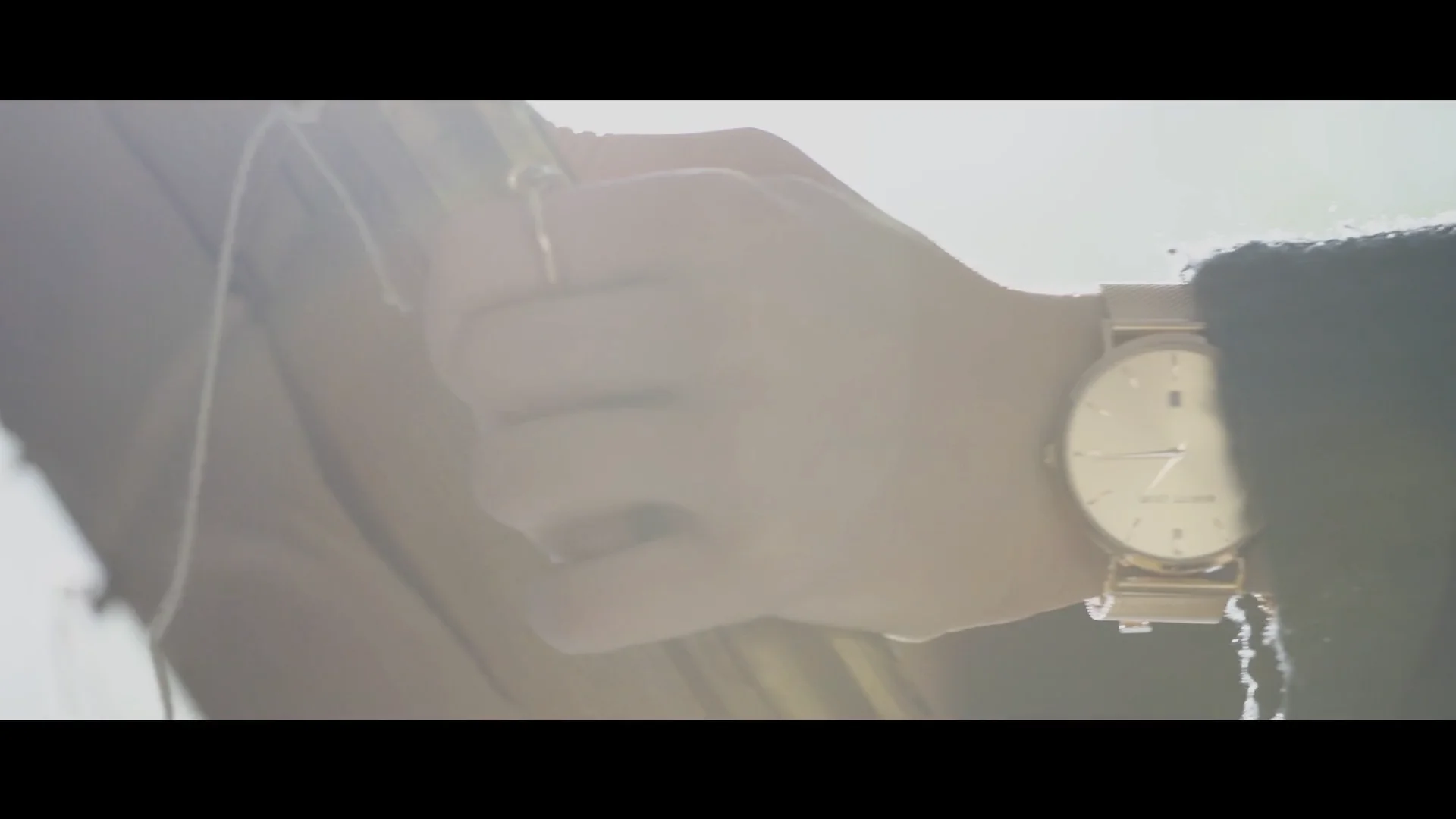 Viewpoint Film Examples - Abbott Lyon Dogs Trust Collaboration on Vimeo