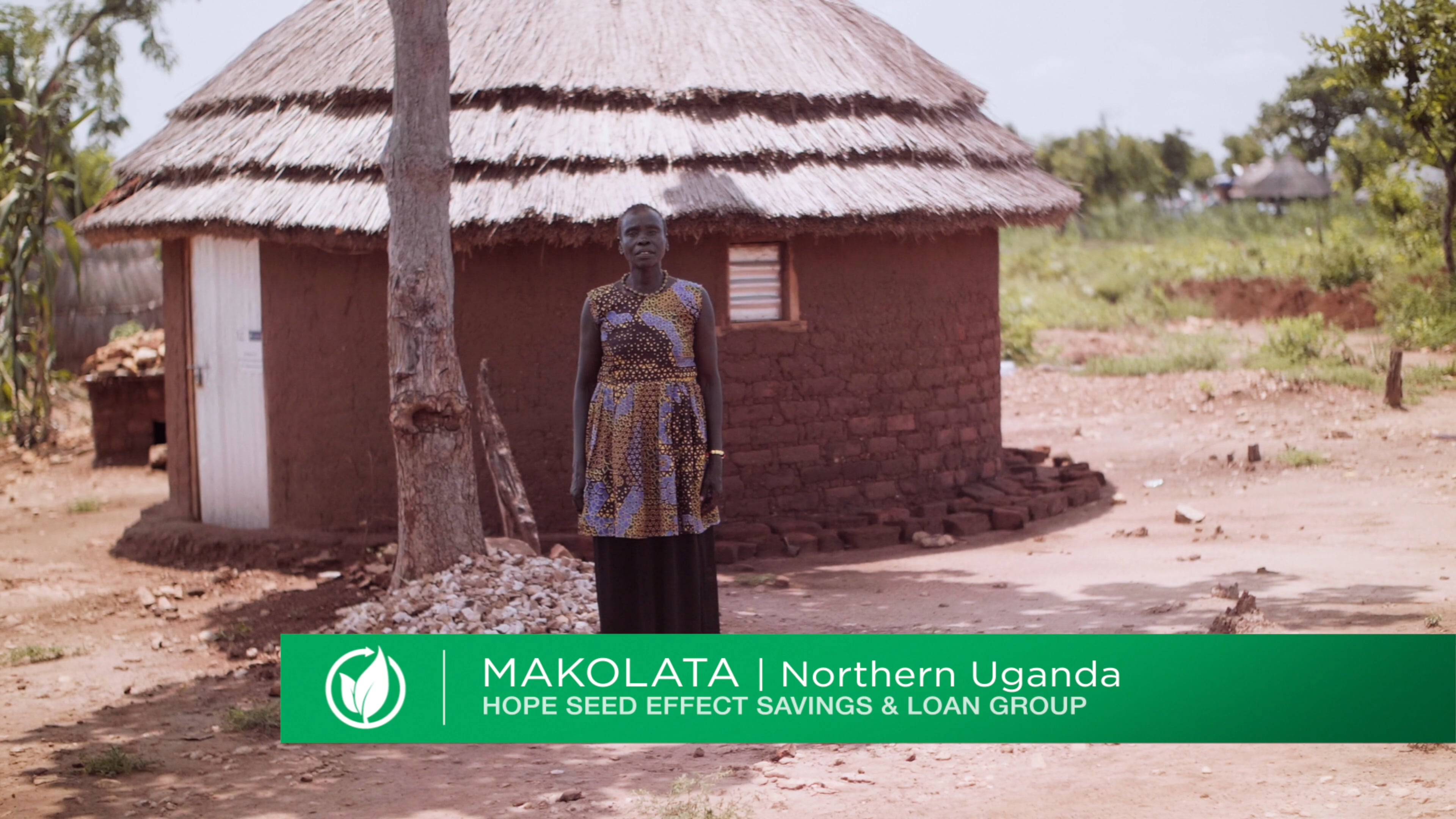 Seed Effect | Makolata on Vimeo