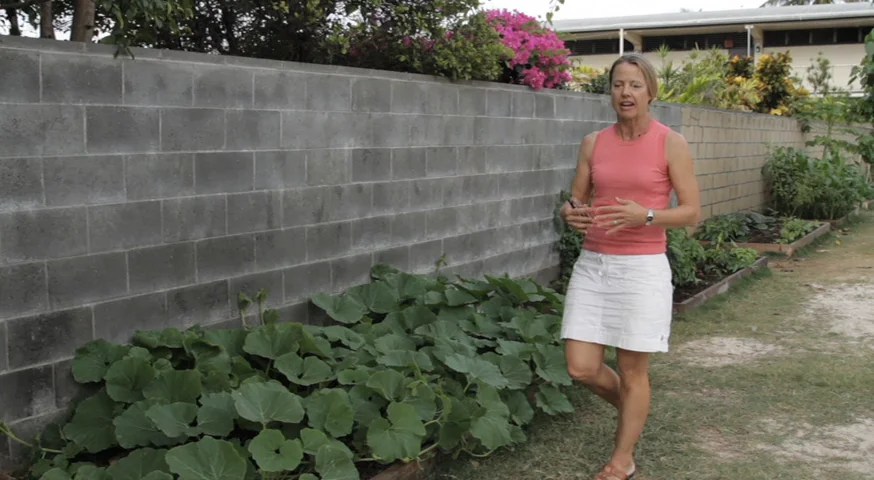 UH Lab School on Vimeo