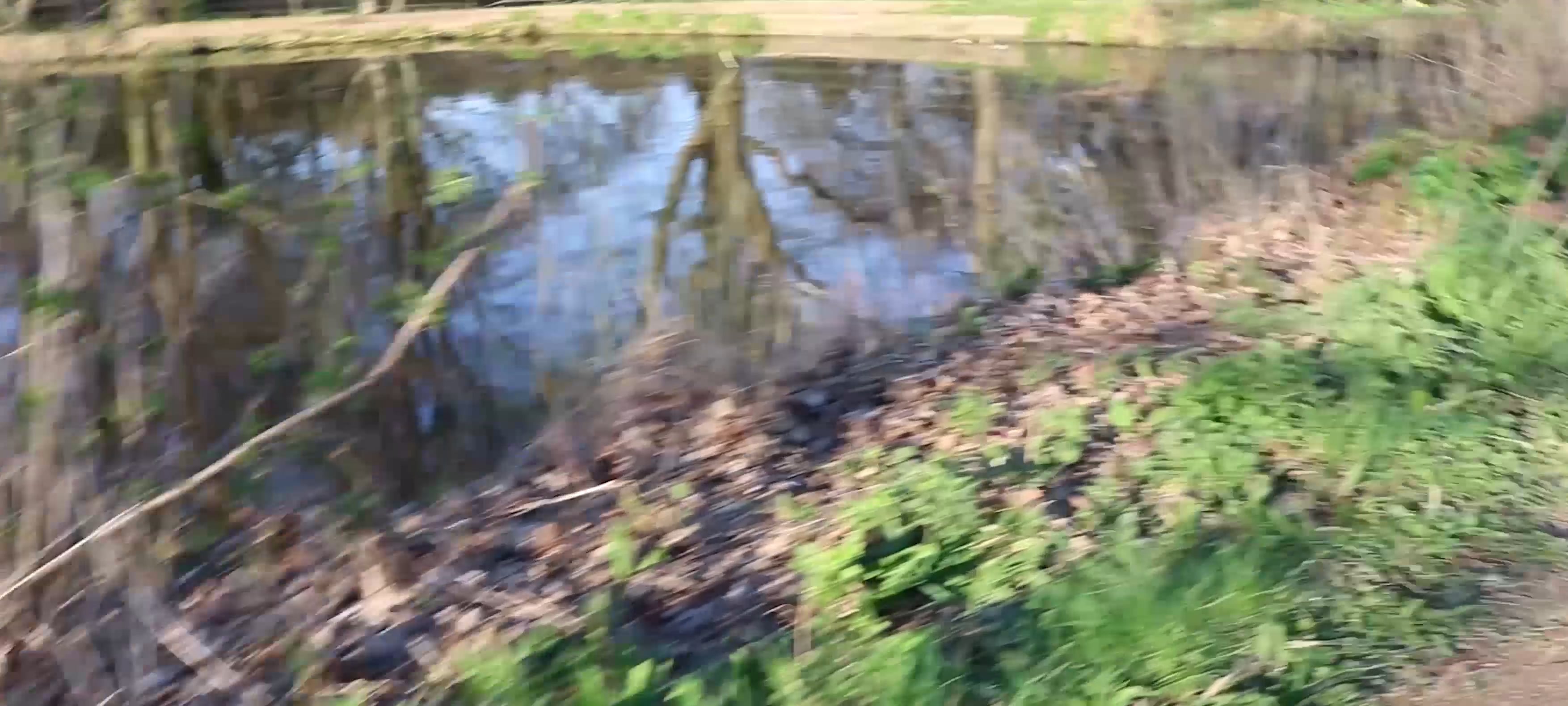 roundhay park trip on Vimeo