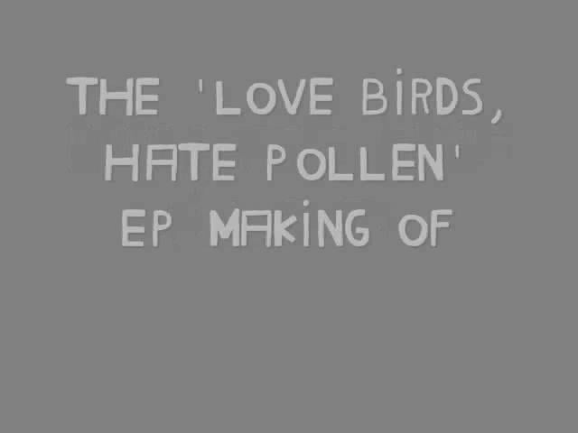 'Love Birds, hate Pollen' making of on Vimeo