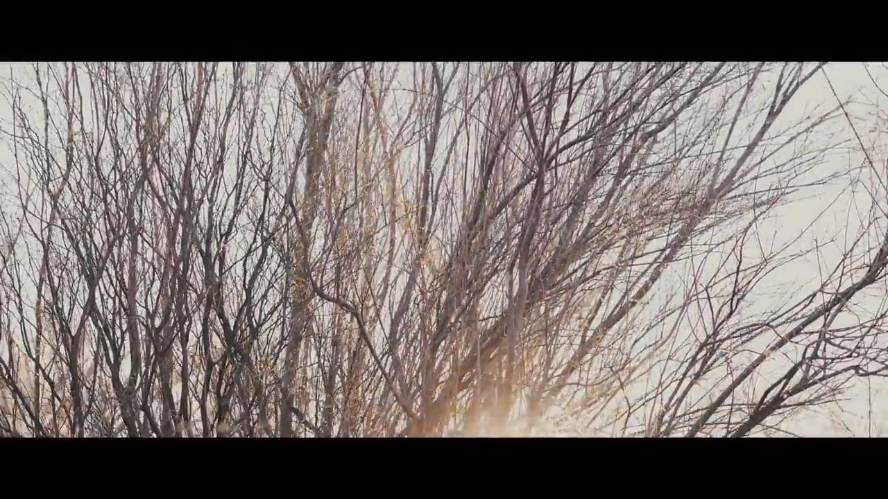 KILLSTATION - EXTINCTION on Vimeo