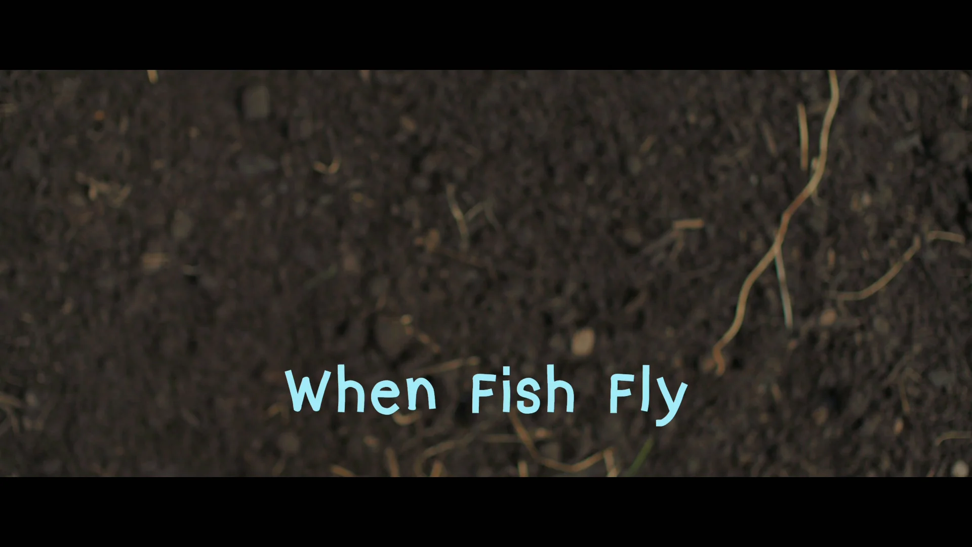 When Fish Fly Screener