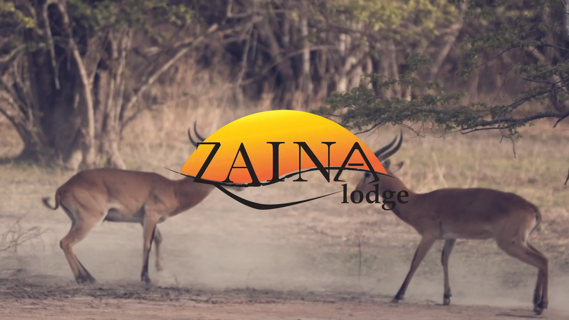 Zaina Lodge Mole National Park in Ghana