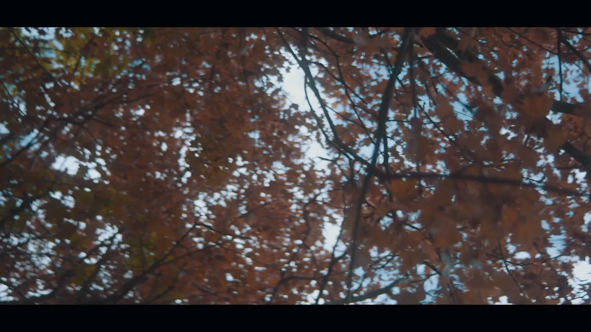 Bande_Démo_William_Oger_2018 on Vimeo